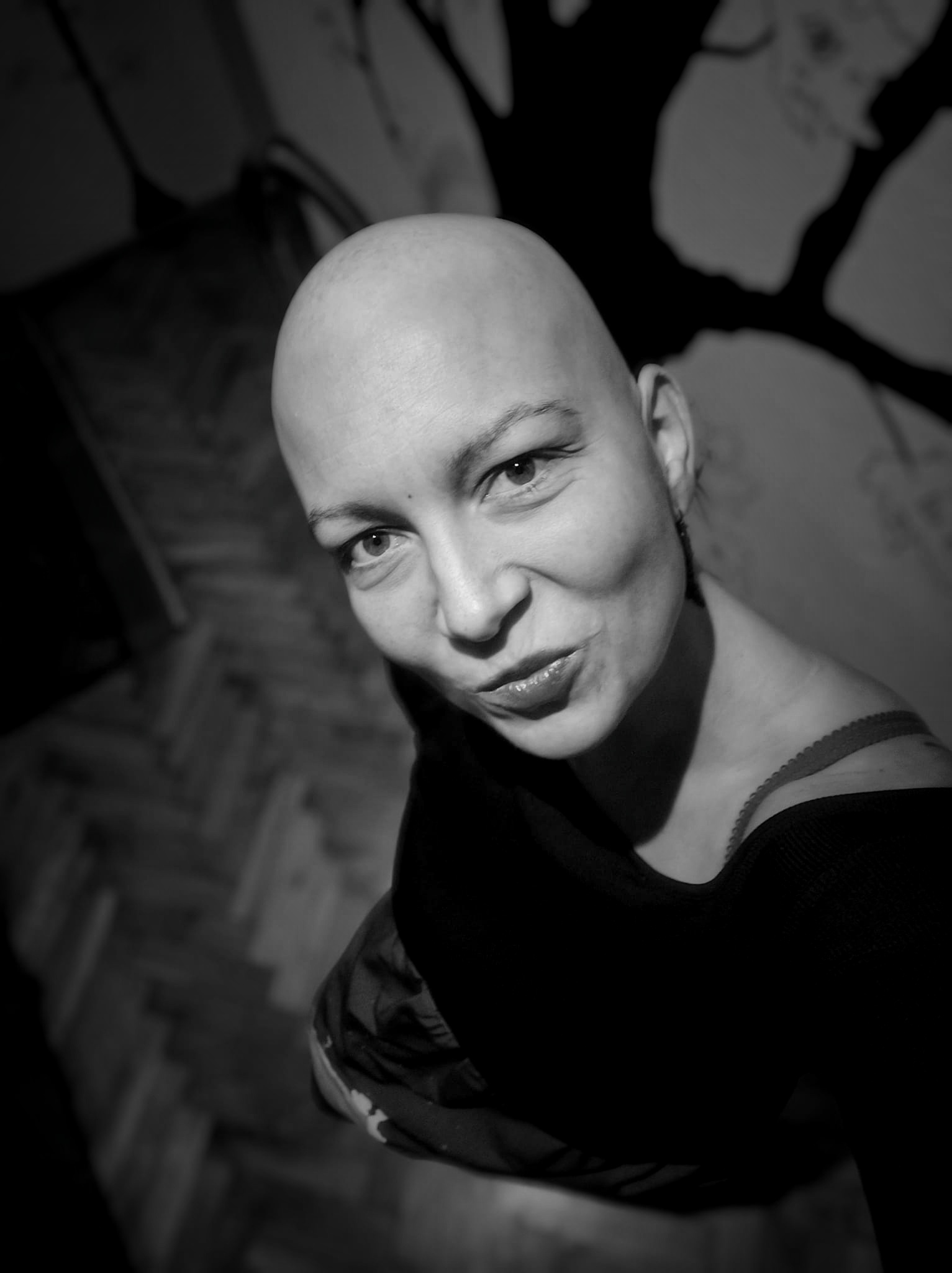 Michaela Javůrková - Bellis - Bellis